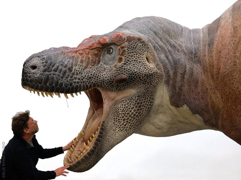 The Field Museum | "Fleshy" Sue the Tyrannosaurus rex — Blue Rhino Studio