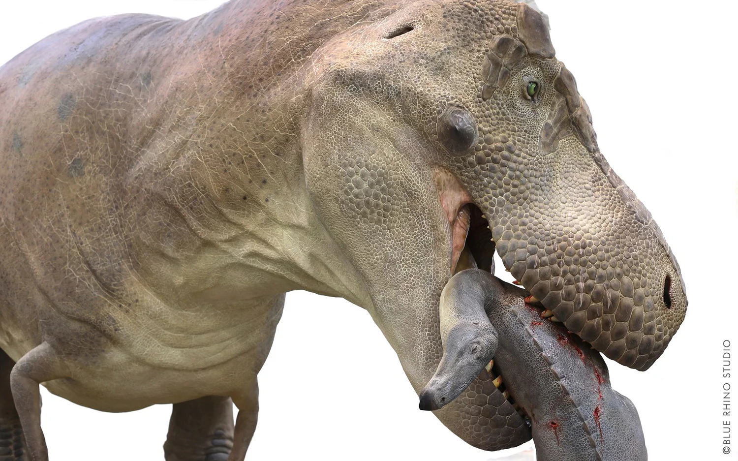 Field Museum | Sue the Tyrannosaurus rex, "Fleshy" Reconstruction ...