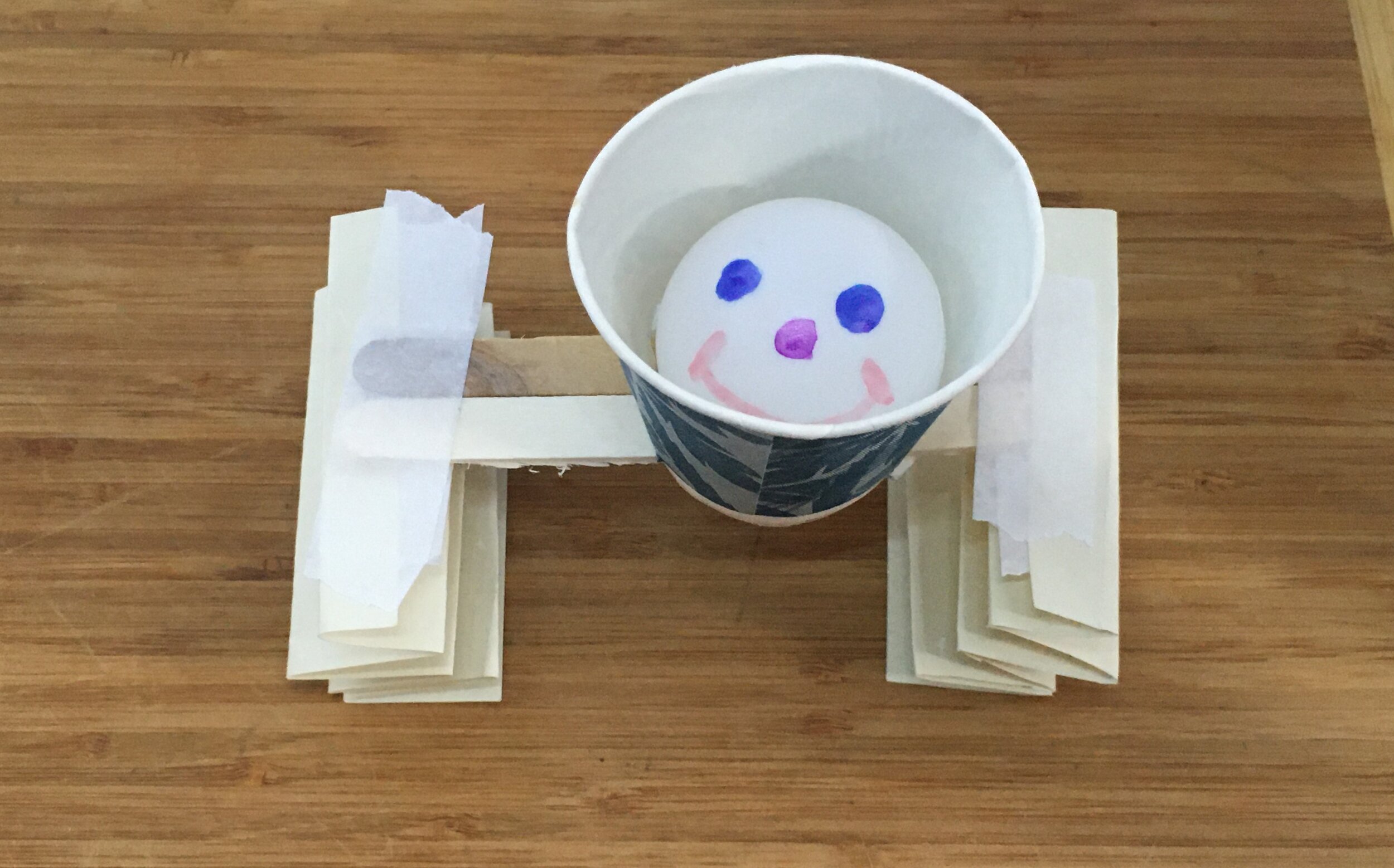 Make a Lunar Lander — Saskatchewan Science Centre