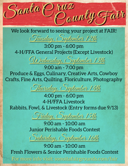 SANTA CRUZ COUNTY FAIR — SANTA CRUZ COUNTY FAIR AND RODEO ASSOCIATION