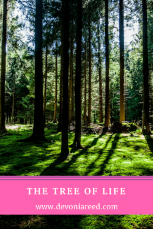 The Tree of Life — Devonia Reed