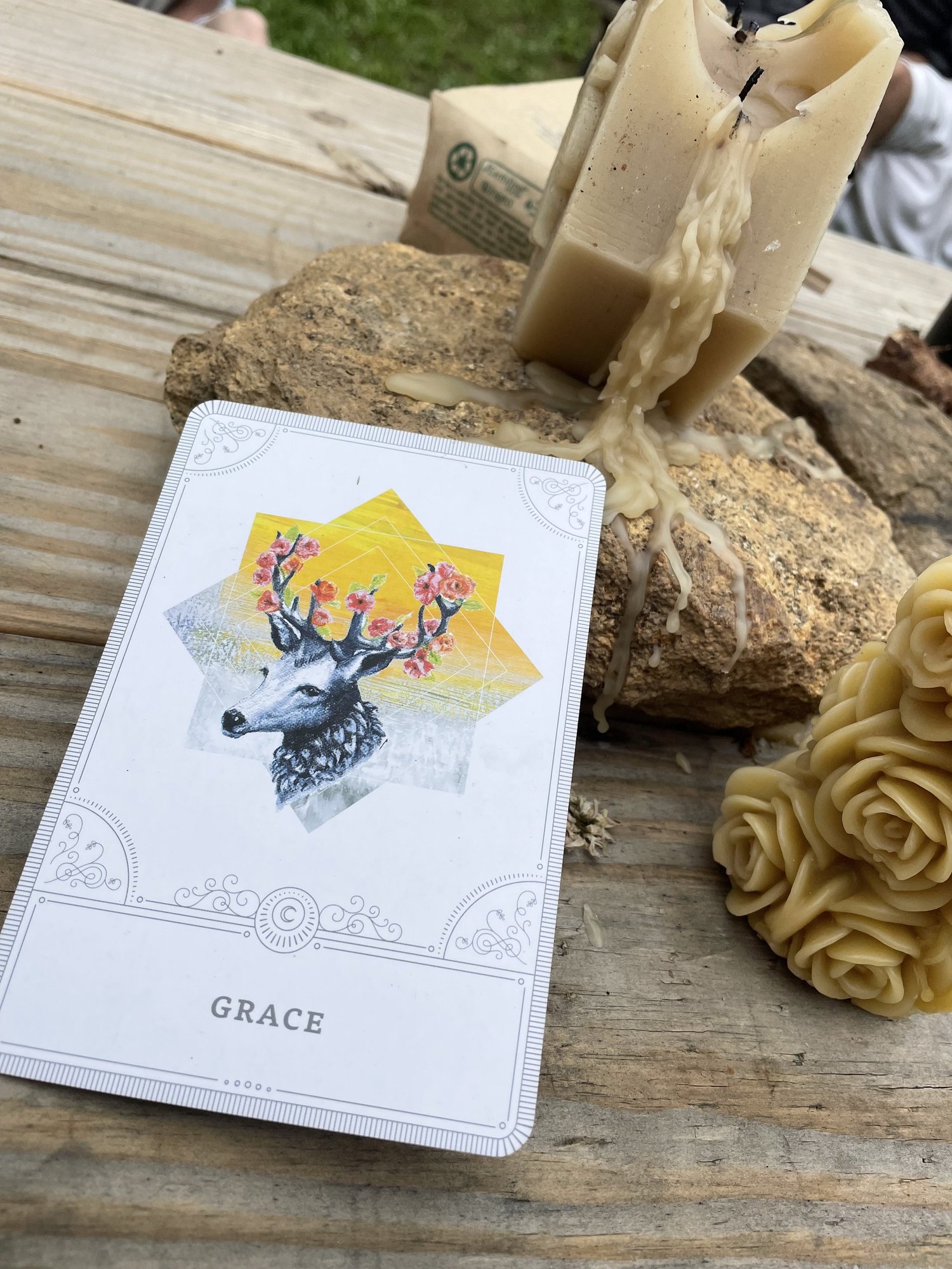 Earth Path Education