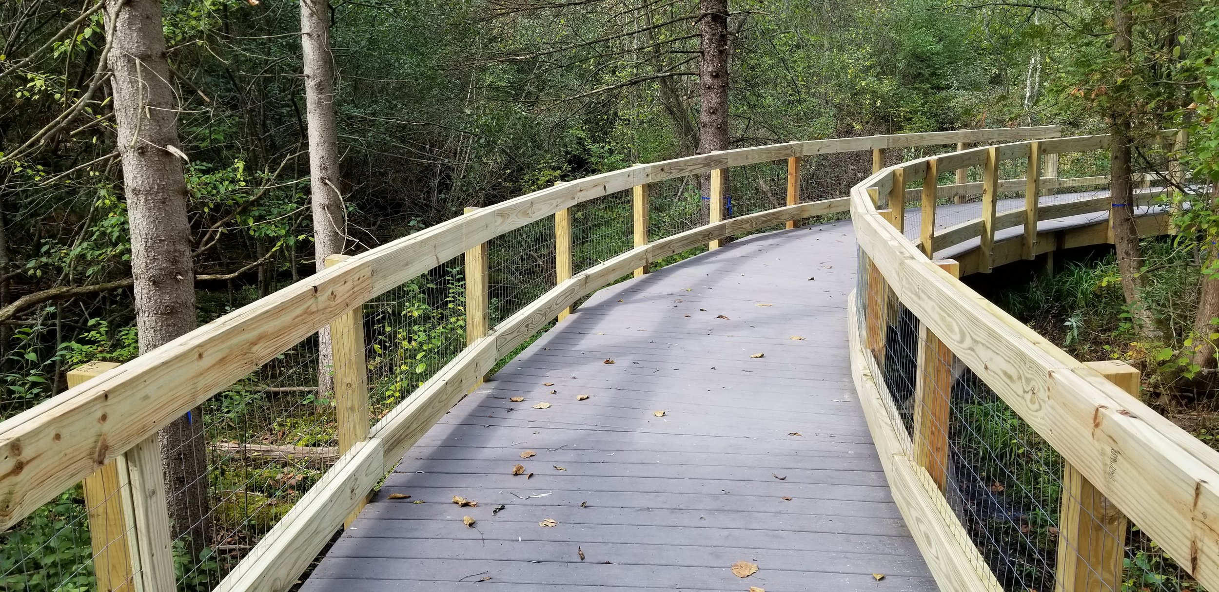 Landscape Architecture: Where Good Design Takes Root — Ruekert & Mielke ...