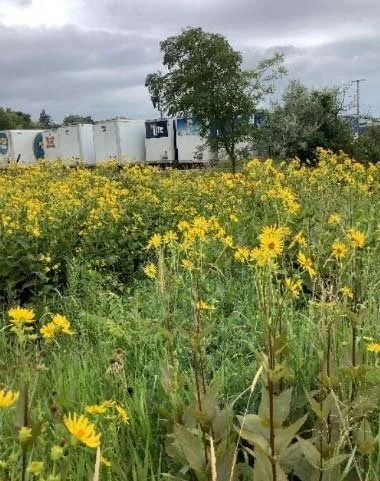 How MMSD Streamlined Their Green Infrastructure Inspection Program ...