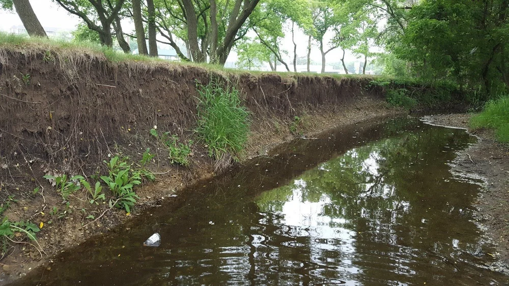 Stabilizing Streambanks Using Natural Channel Design — Ruekert & Mielke ...