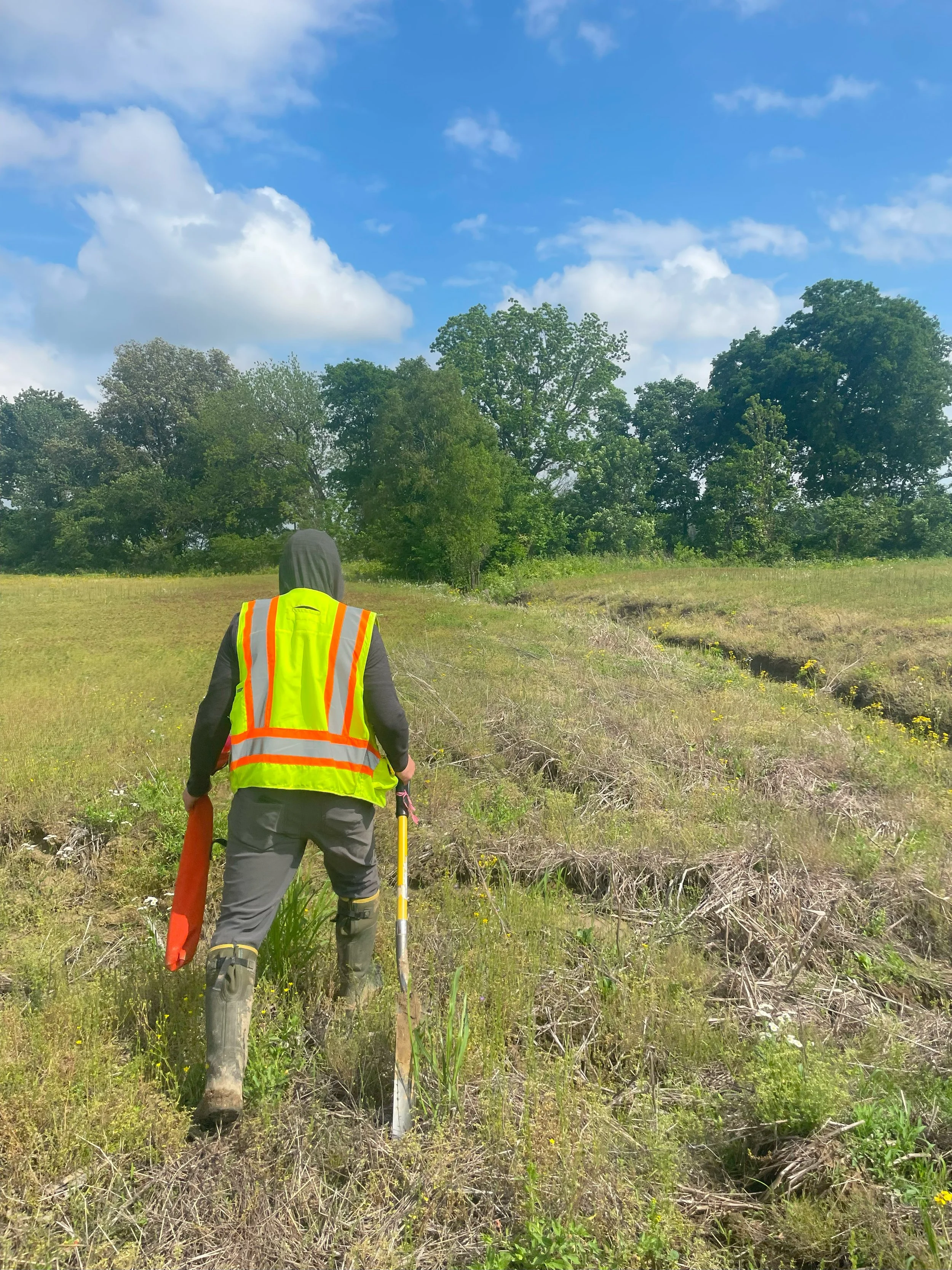 Wetland and Waterway Rules: What You Need to Know for Construction in ...