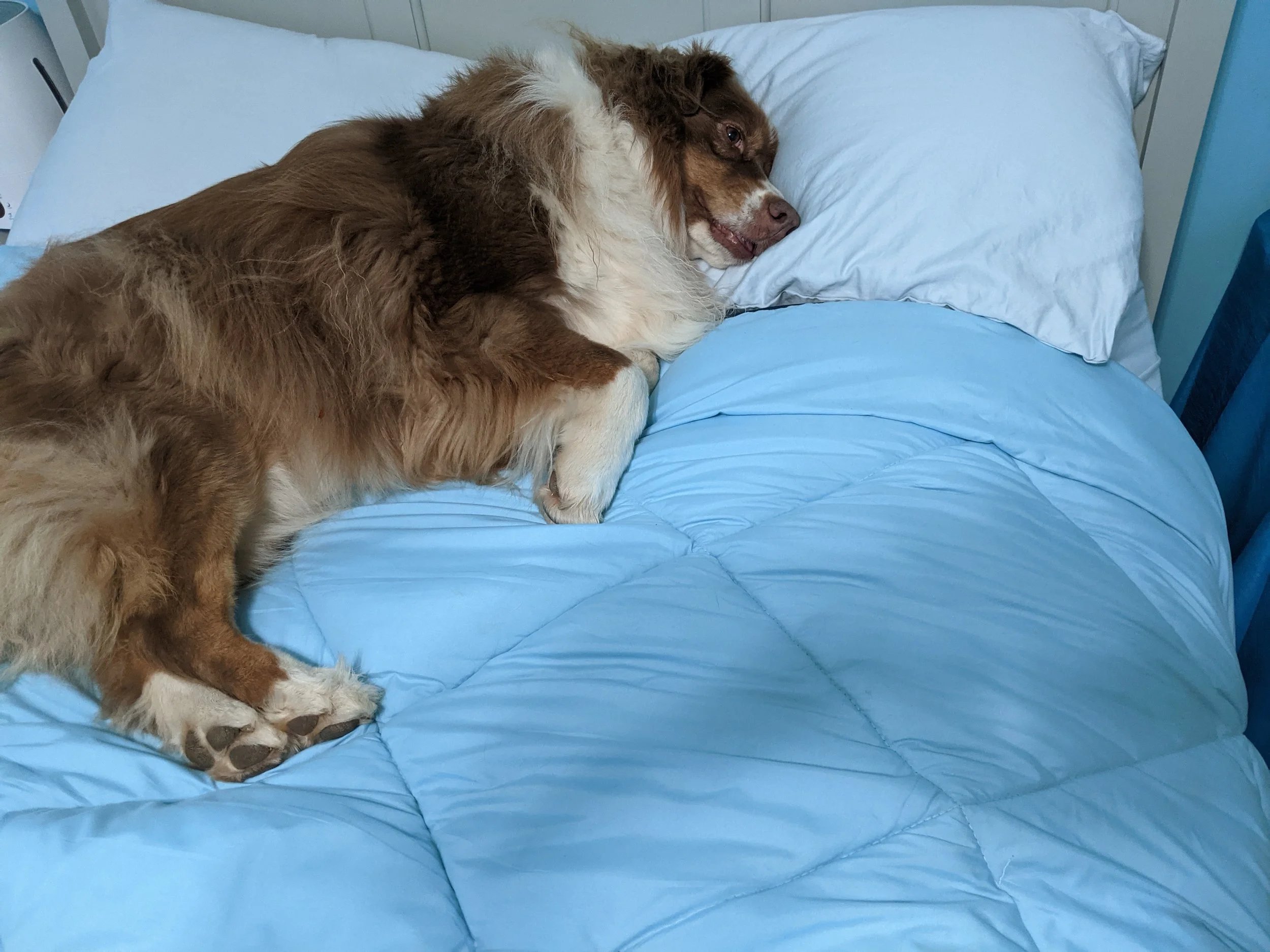 Blog — Craig Schaefer