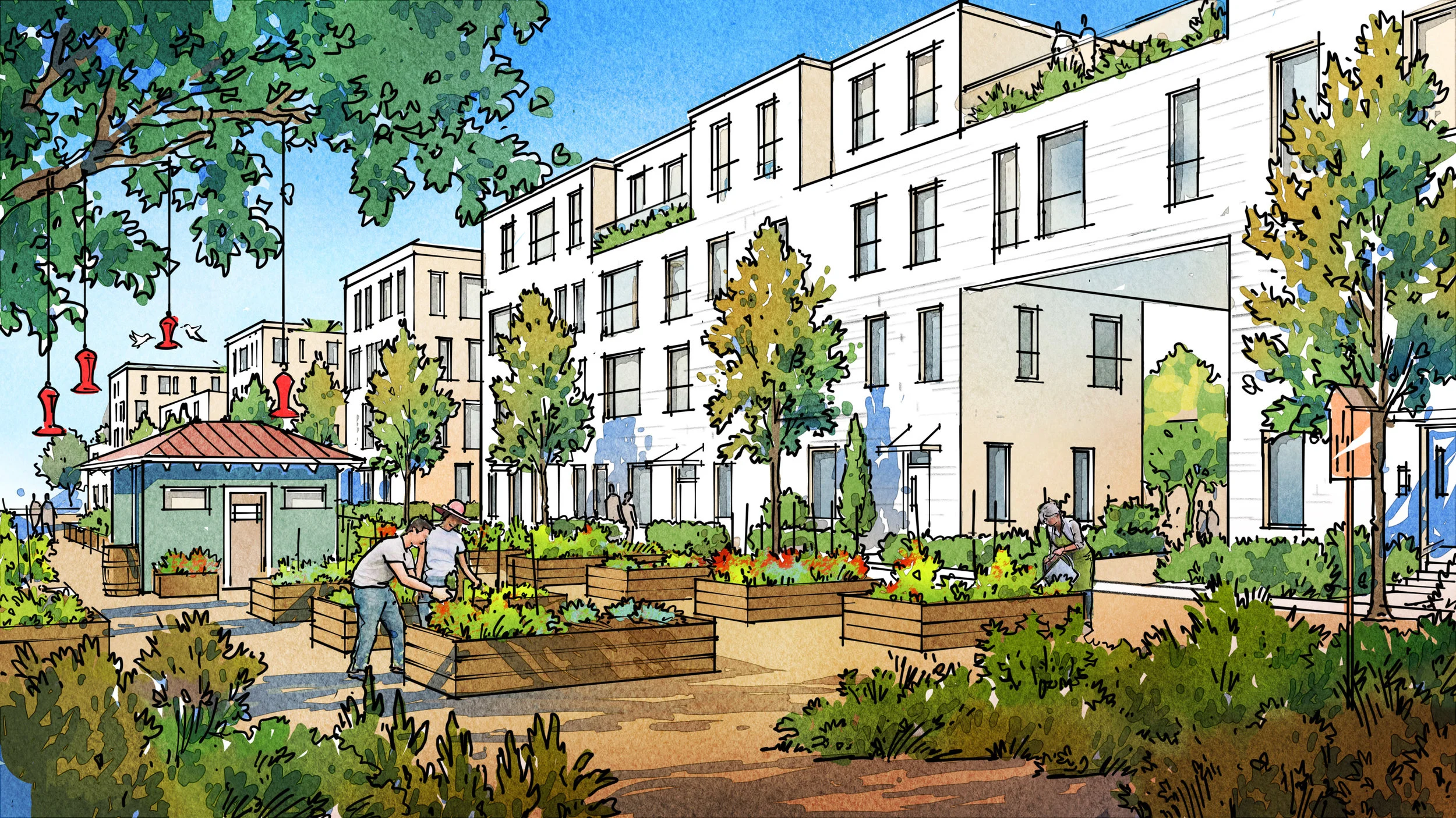 Hand drawn, architectural renderings