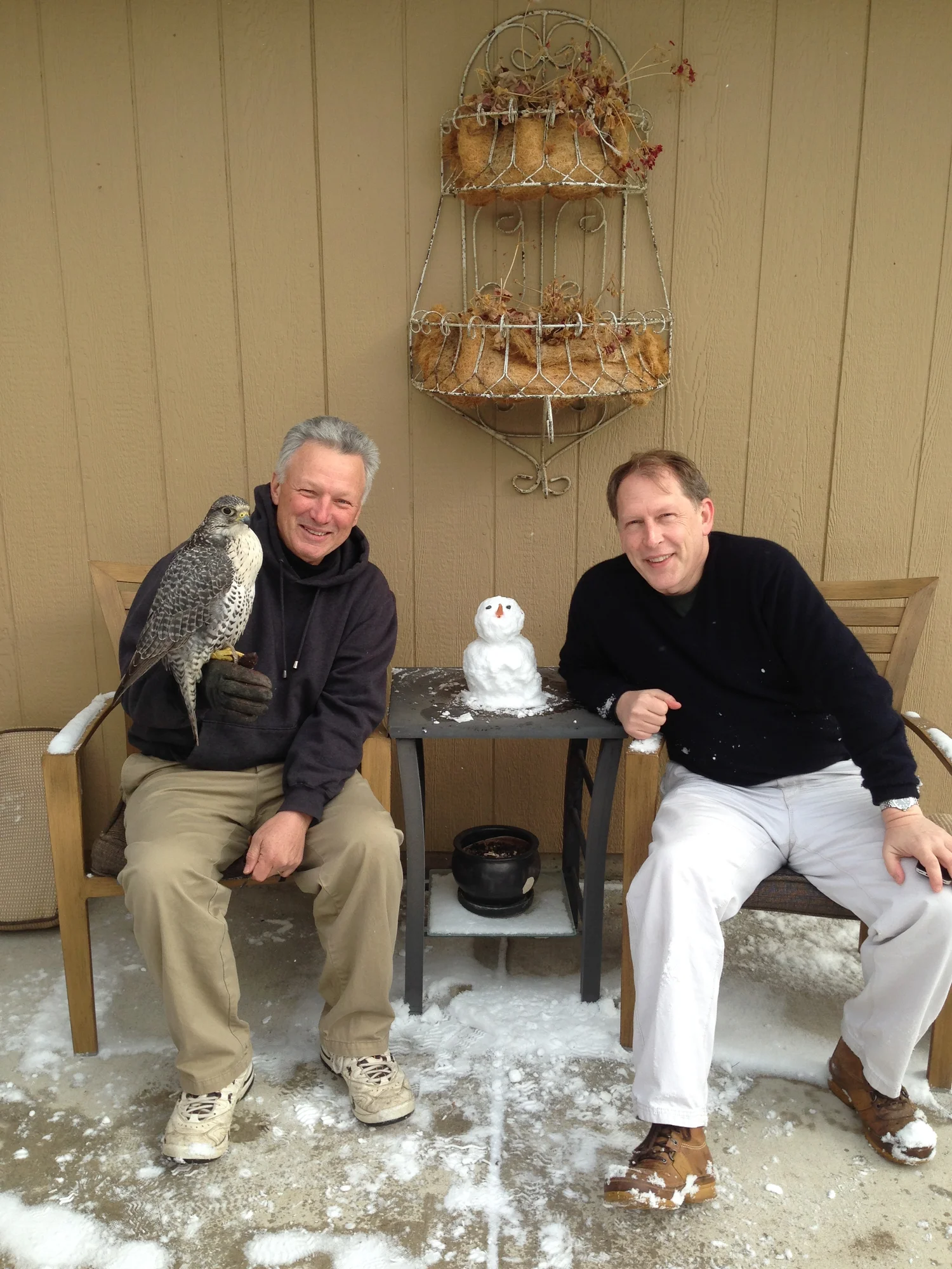The Falcon And Snowman