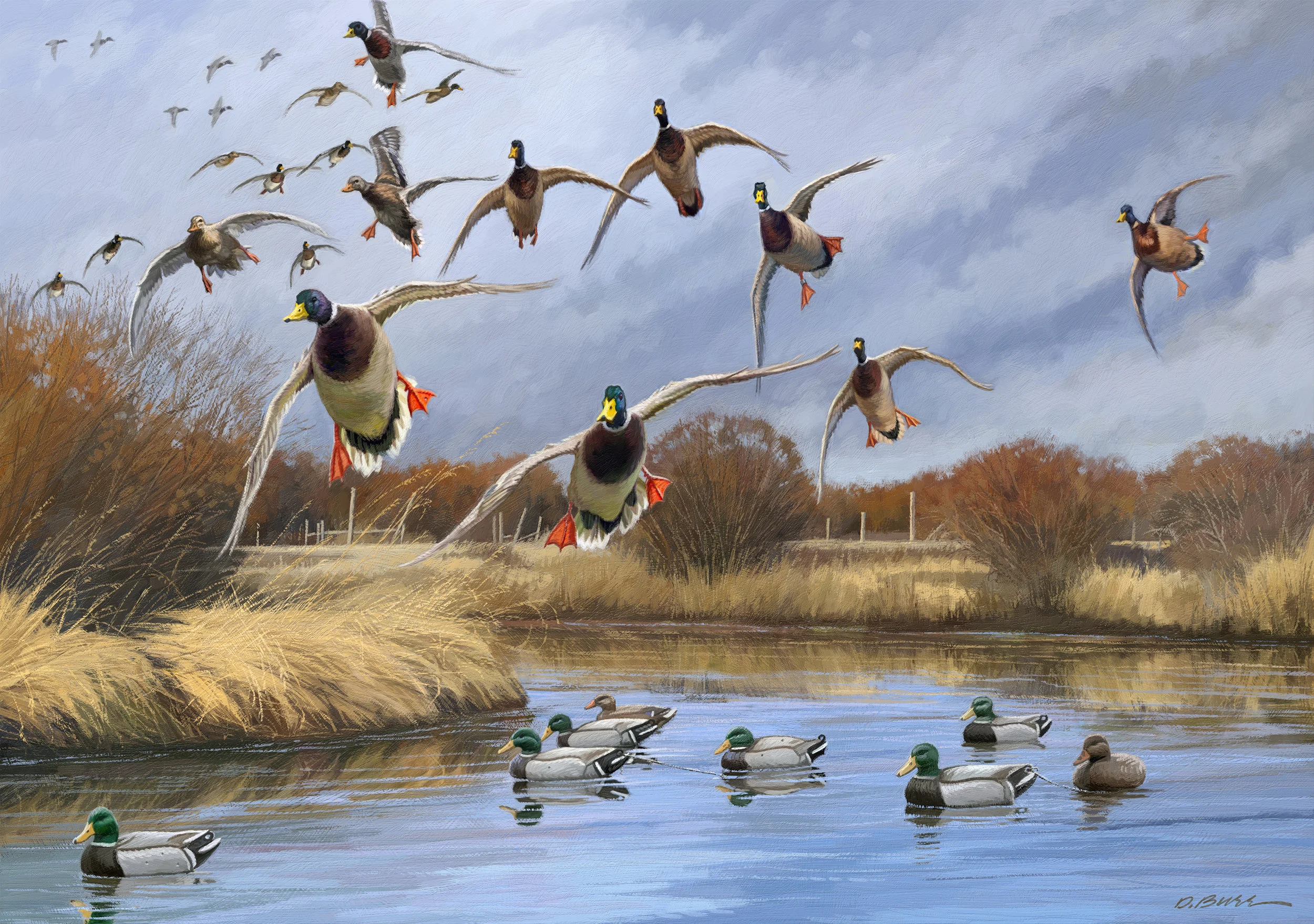 a gallery of illustration by Dan Burroutdoor art — Dan Burr Illustration