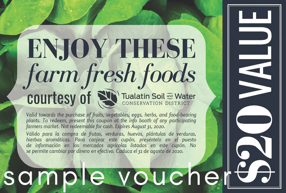 Providing families with food vouchers during COVID-19 Pandemic ...