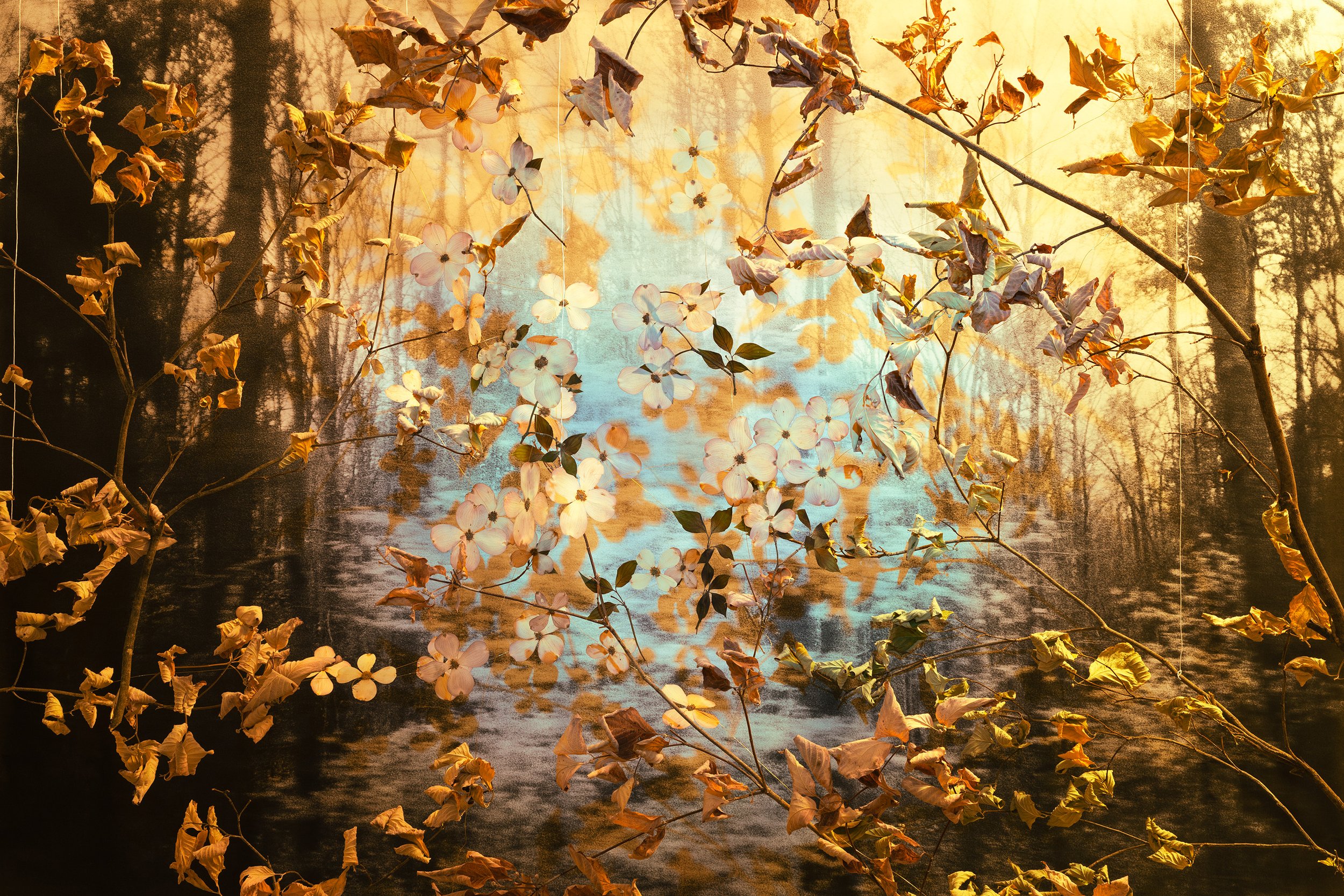 peter cochrane art