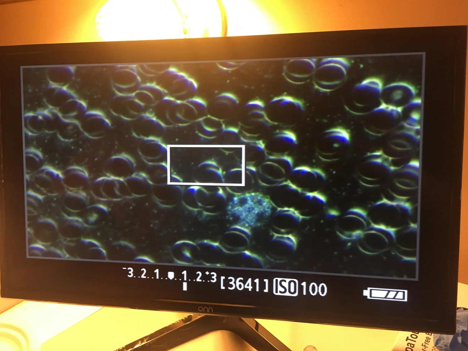 Clinton Zimmerman Wellness — Red Fox Market