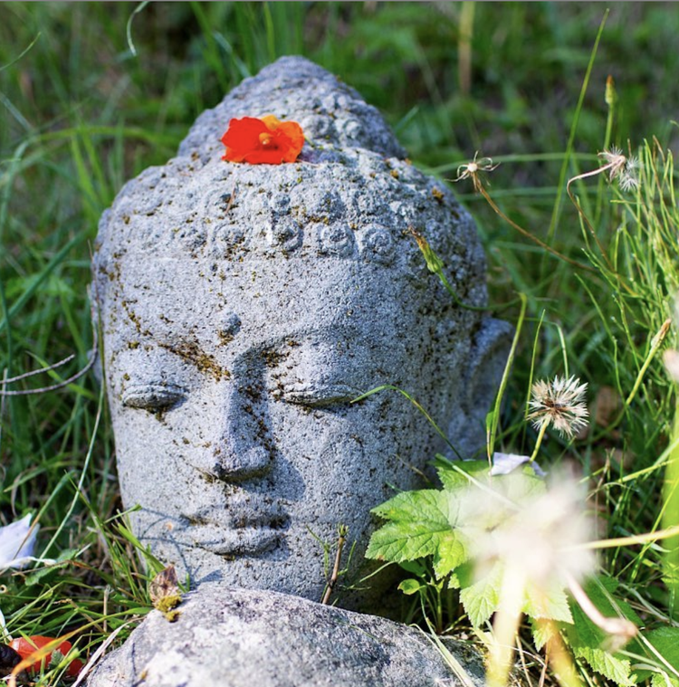 Quotes — Thich Nhat Hanh Foundation