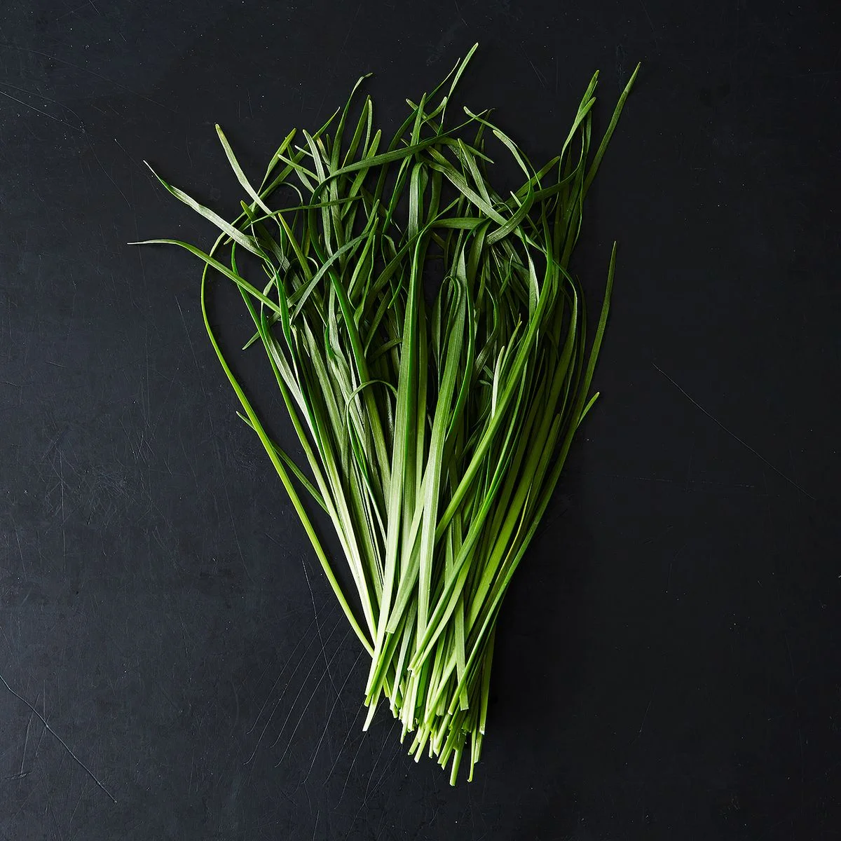 Garden to Table: Garlic Chive Pesto!! — Native Nurseries