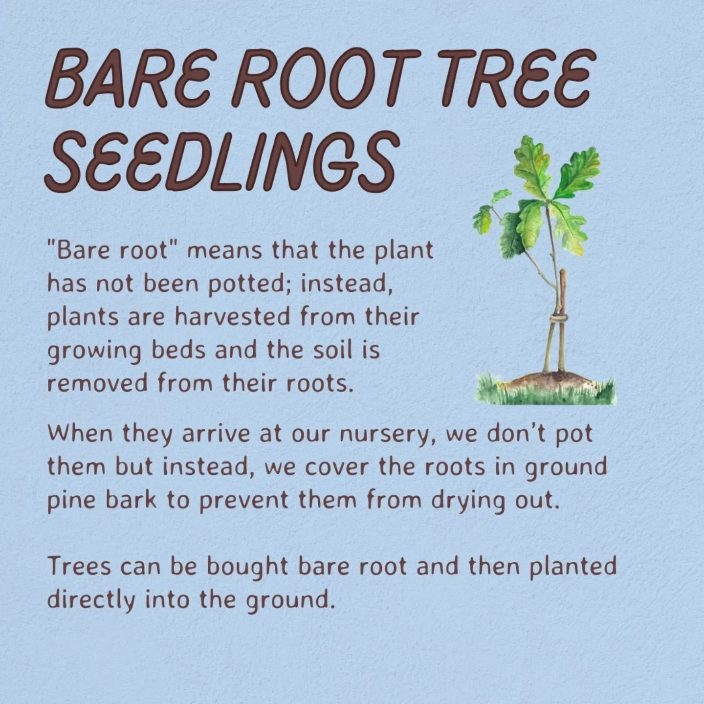 Native Nurseries