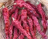 Peperoni Cruschi — Cooking With Rosetta