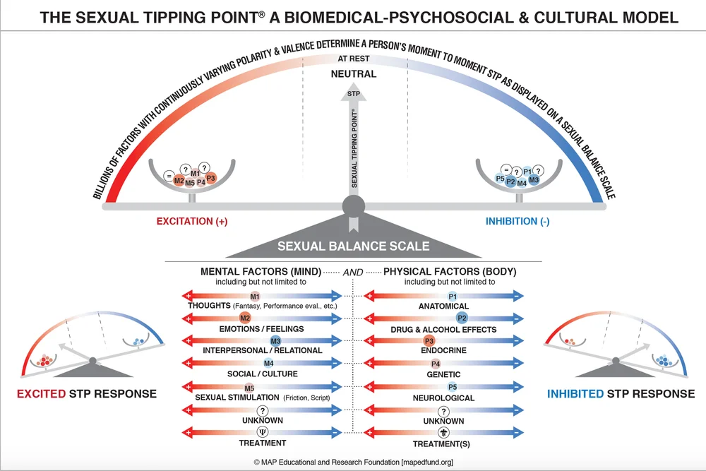 Understanding Sexual Balance: Latest Update To The STP Model. — MAP ...