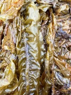 Seaweed Farming — Alaska Longline Fishermen's Association