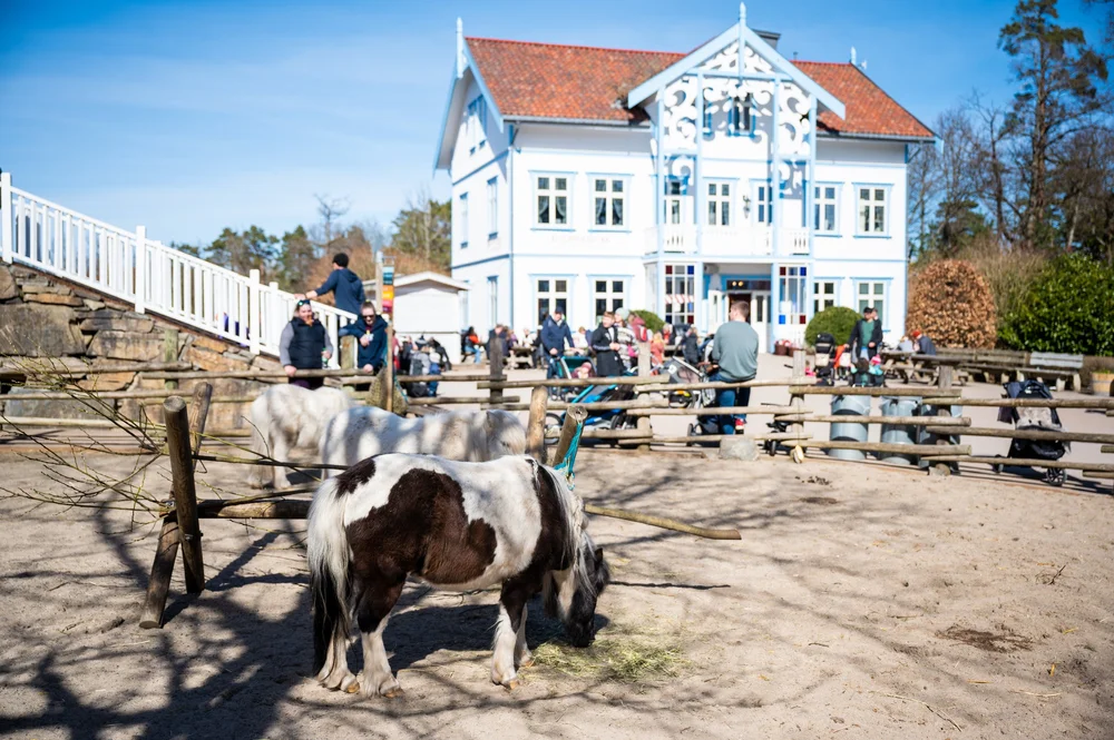 Klart for sommershow i dyreparken — THE TRAVEL INSPECTOR