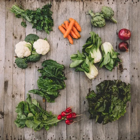 Mountain Bounty Farm — Vegetable Shares