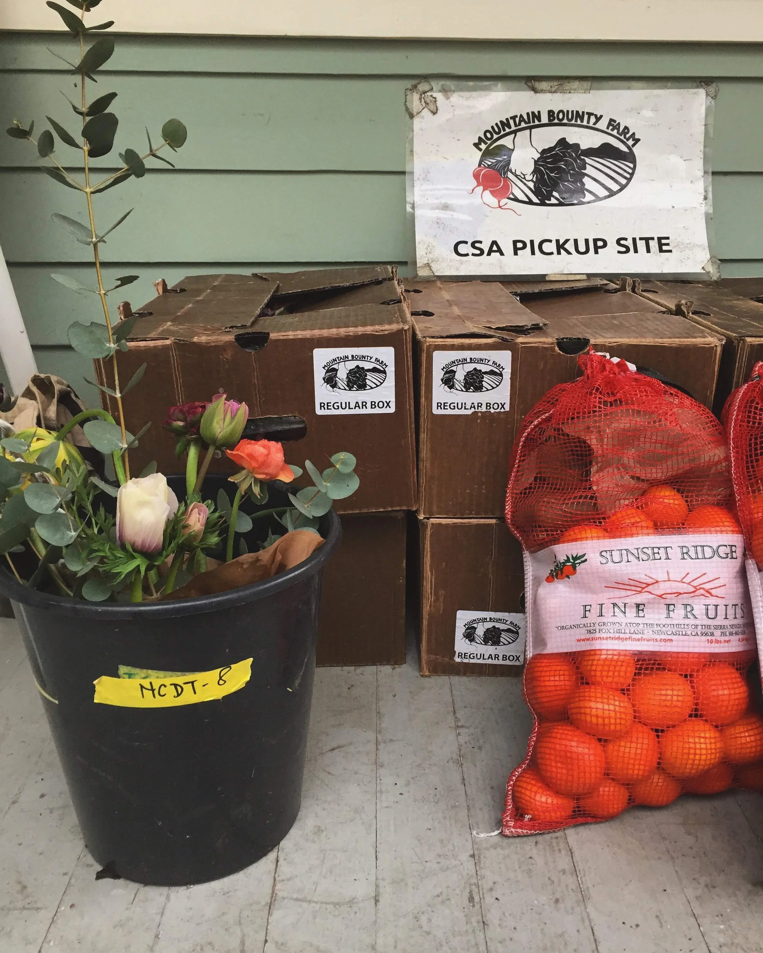 Mountain Bounty Farm — CSA Program