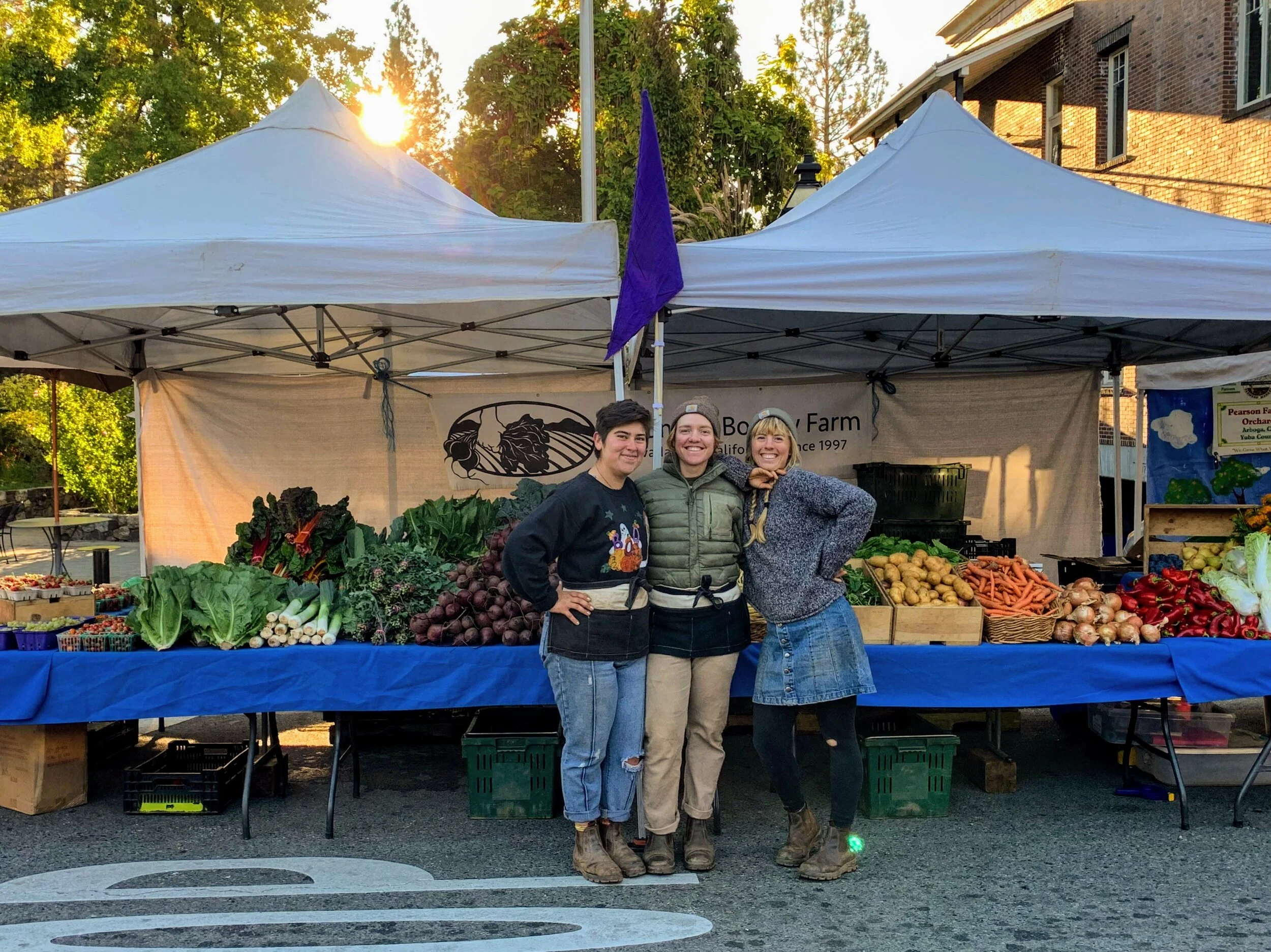 Mountain Bounty Farm — Events