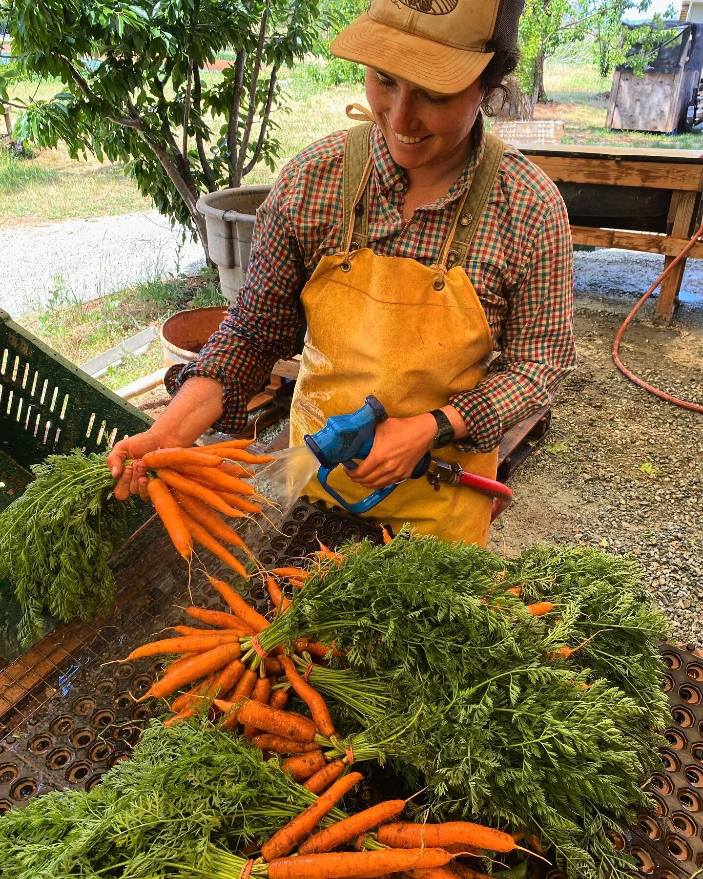 Mountain Bounty Farm