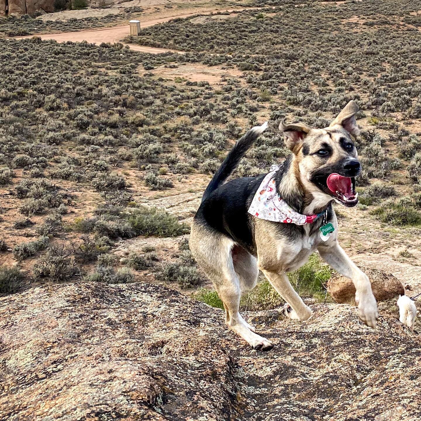 Free dispersed camping, Taylor Park (Taylor Reservoir), CO — Colorado ...