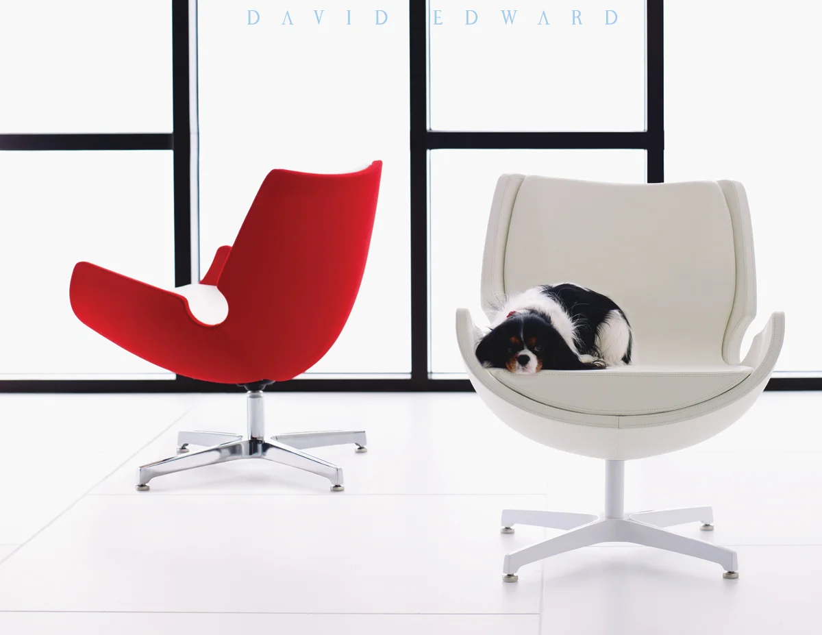 Our Favorite David Edward Chairs — b + c Office Interiors