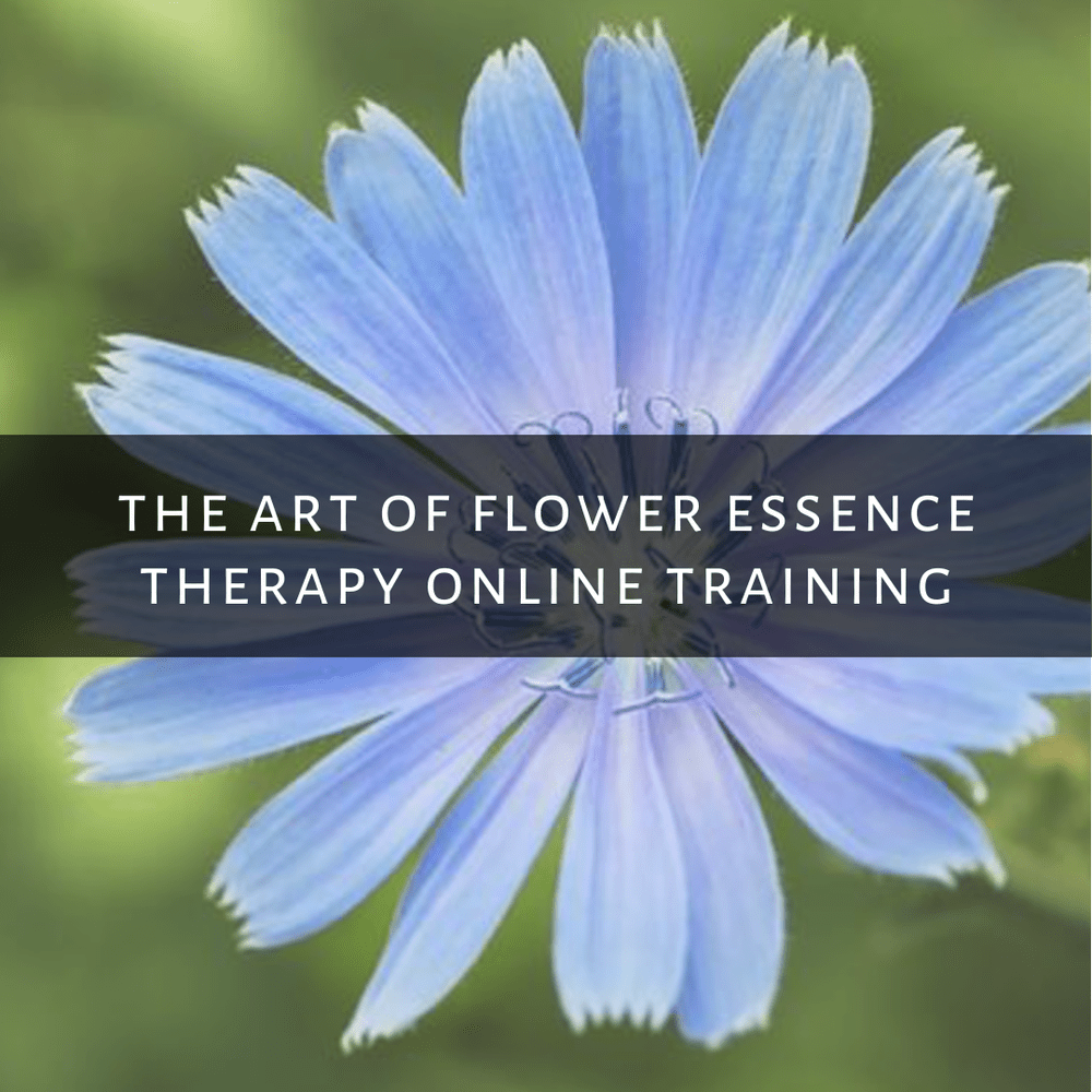 Flower Essence Practitioner — Twin Star