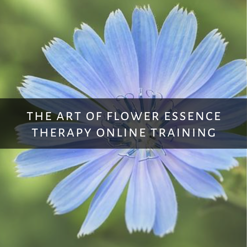 Flower Essence Practitioner — Twin Star