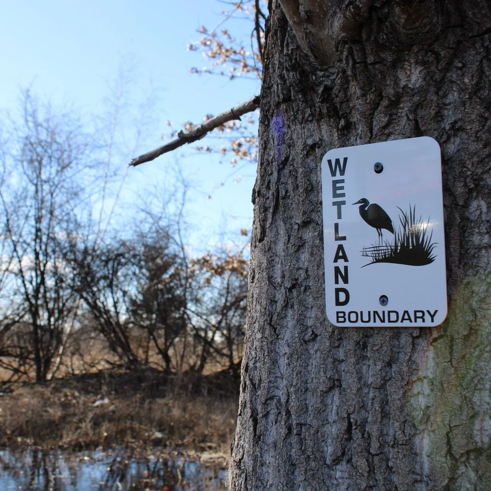 Earth Month 2024: Learning from Nature — Mystic River Watershed Association
