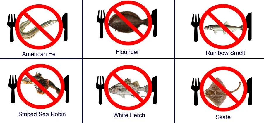 Lower Mystic Fish Advisory — Mystic River Watershed Association