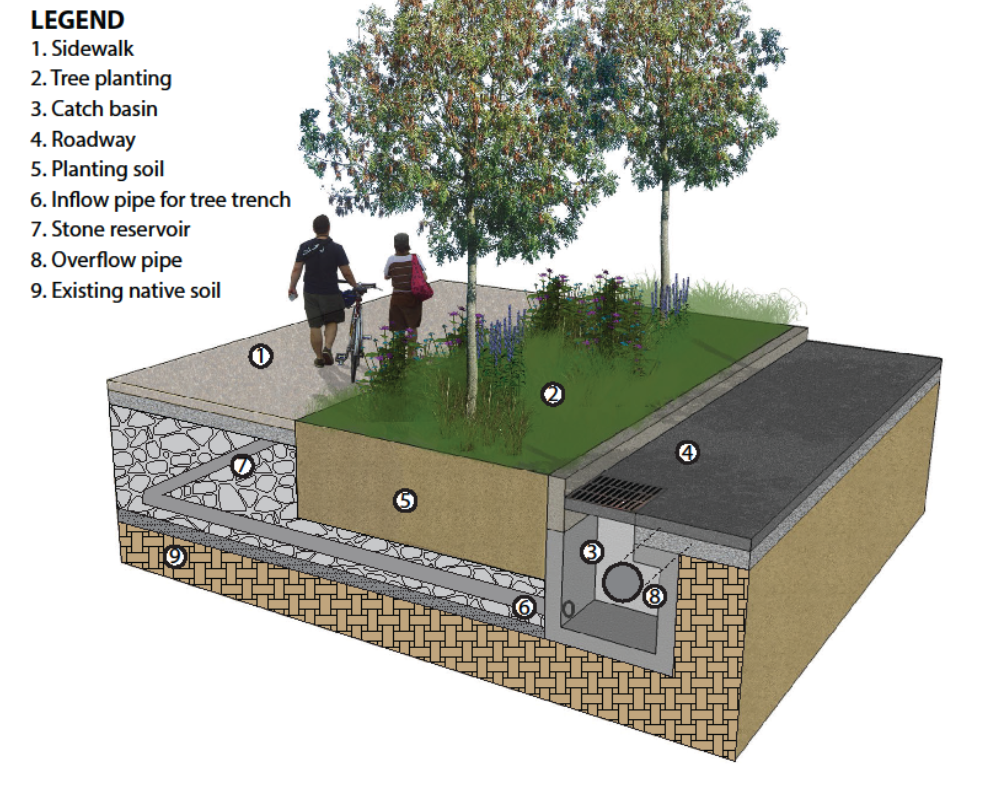 Calendar — Mystic River Watershed Association