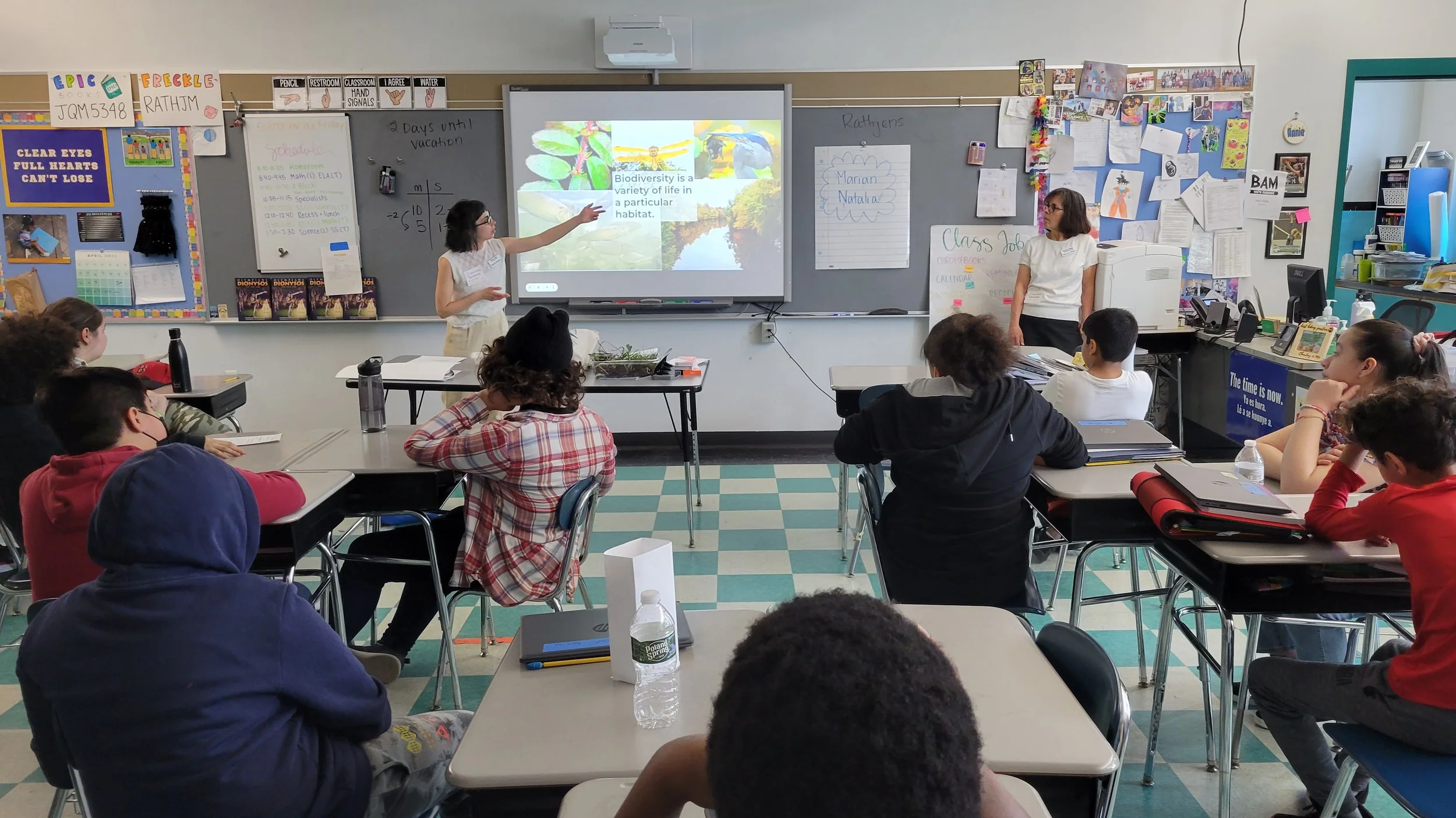 Environmental Education — Mystic River Watershed Association