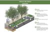 Tree Trenches — Mystic River Watershed Association