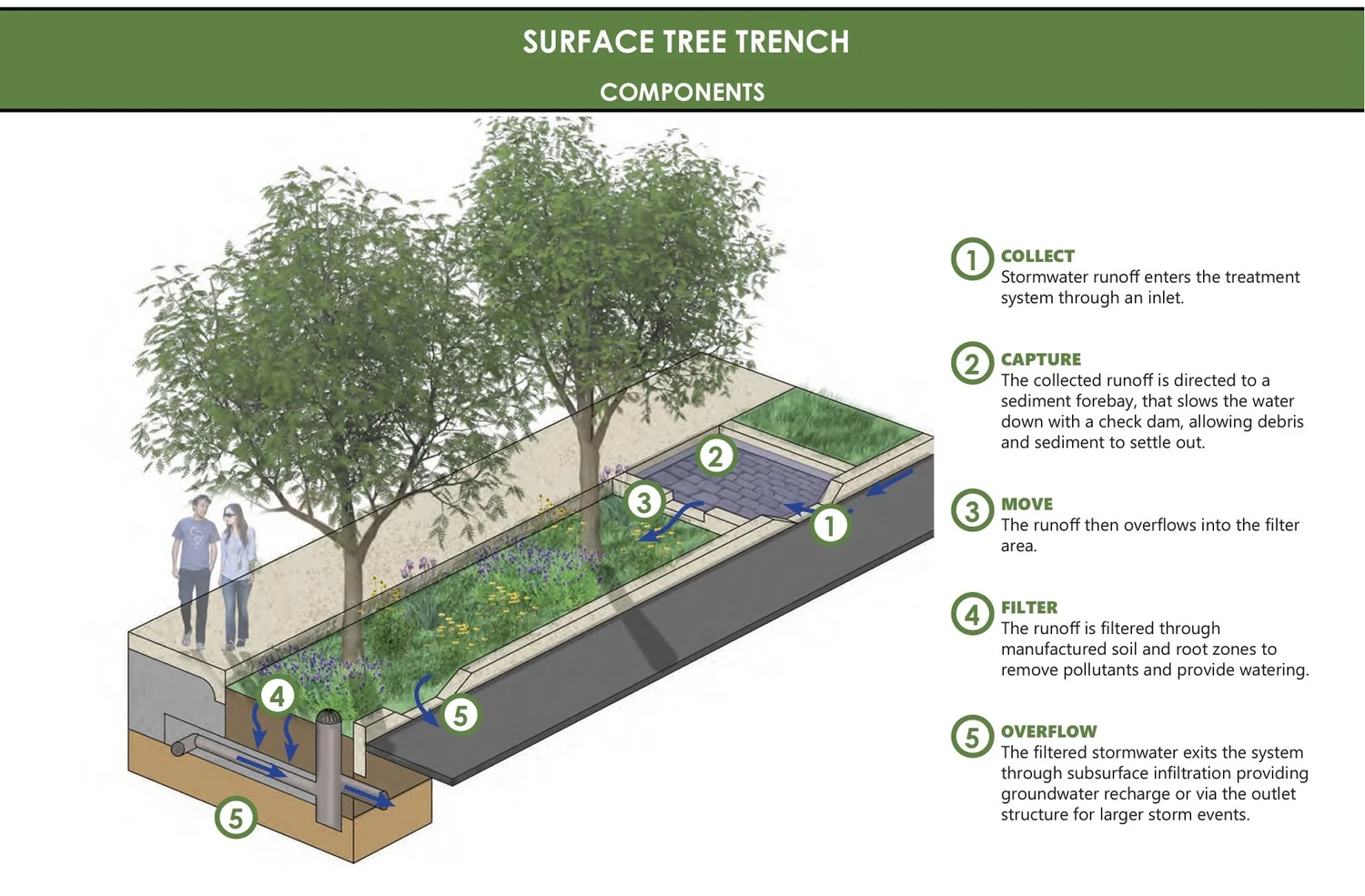 Tree Trenches — Mystic River Watershed Association