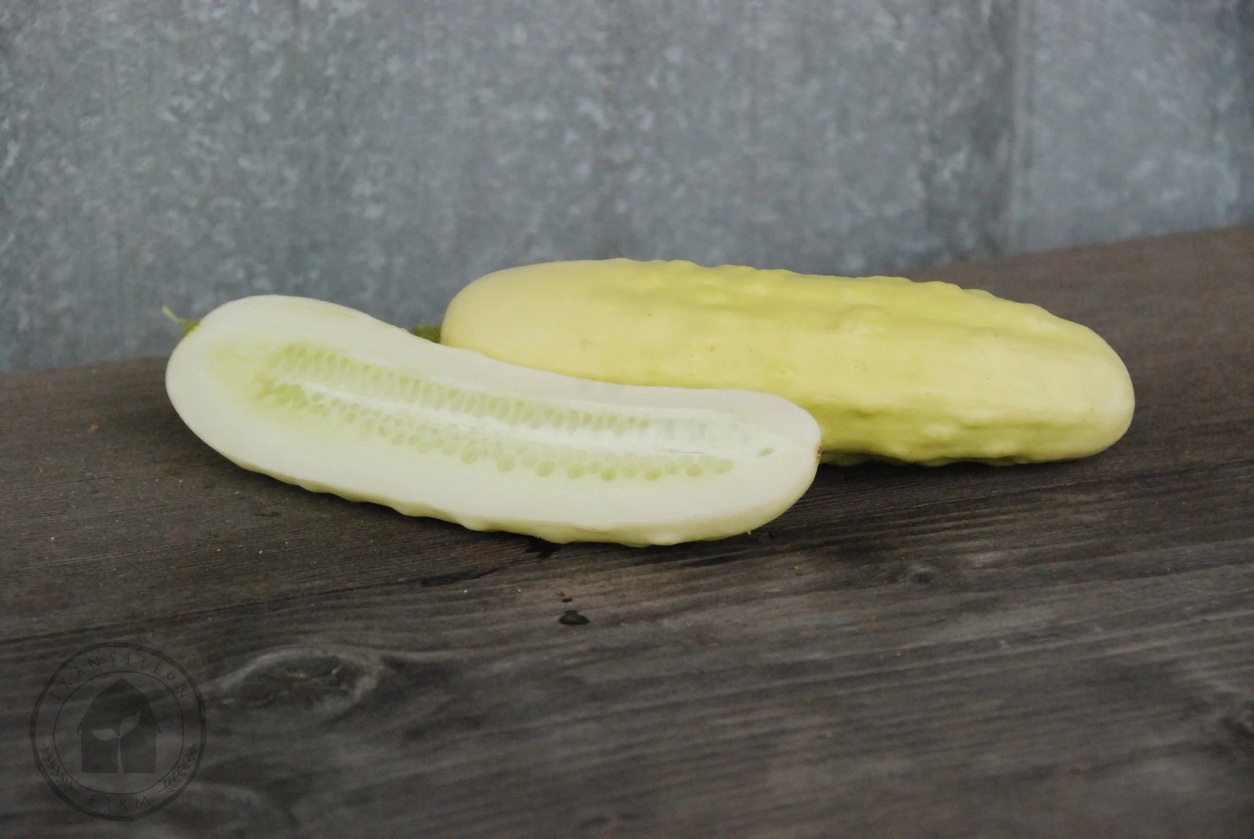 Cucumber 'Silver Slicer' — Transition Farm