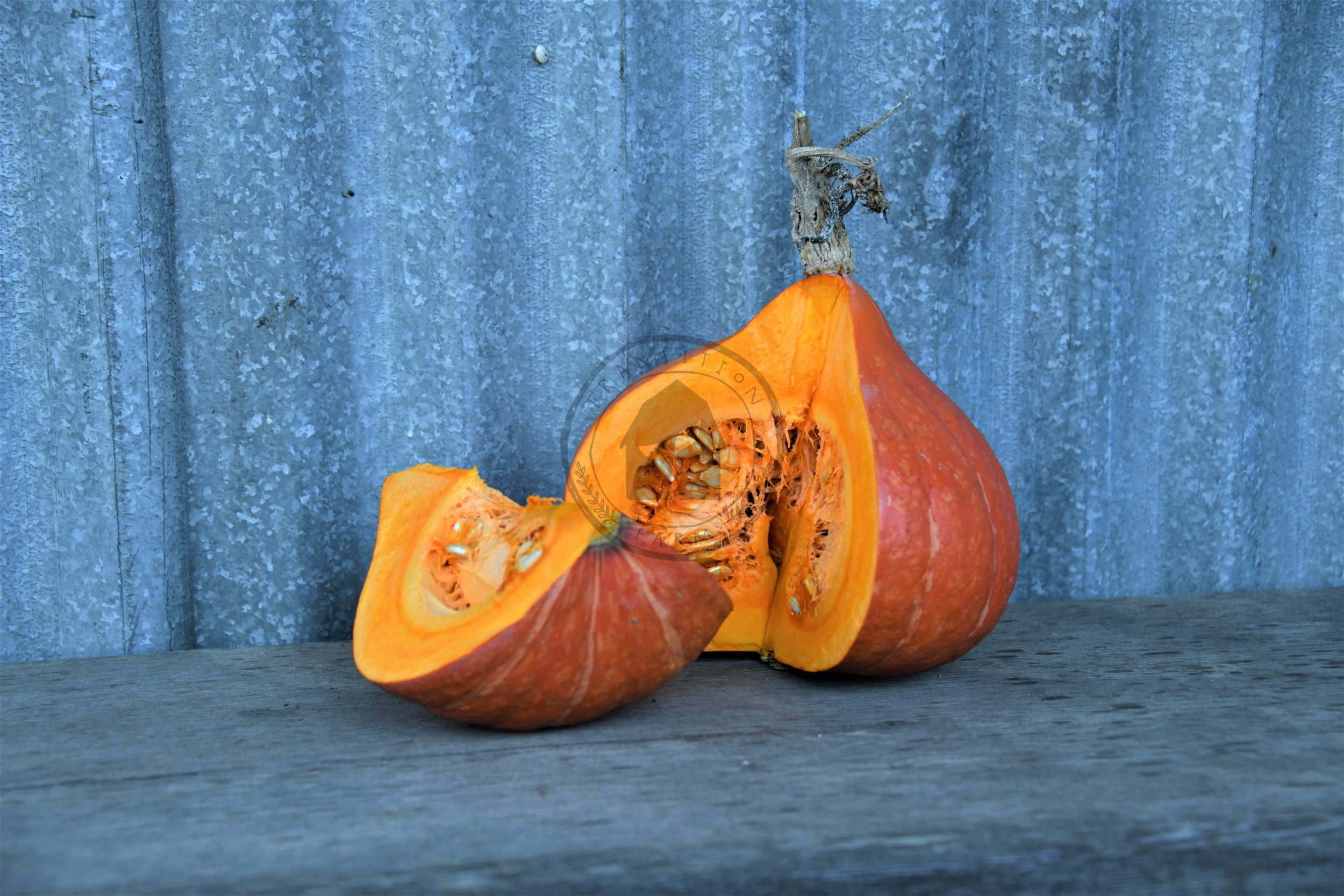 Pumpkin 'Red Kuri' — Transition Farm