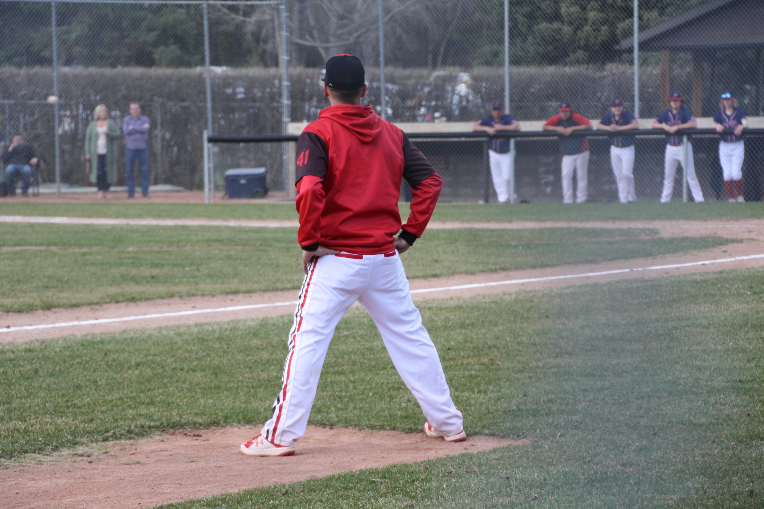 Cardinals Baseball