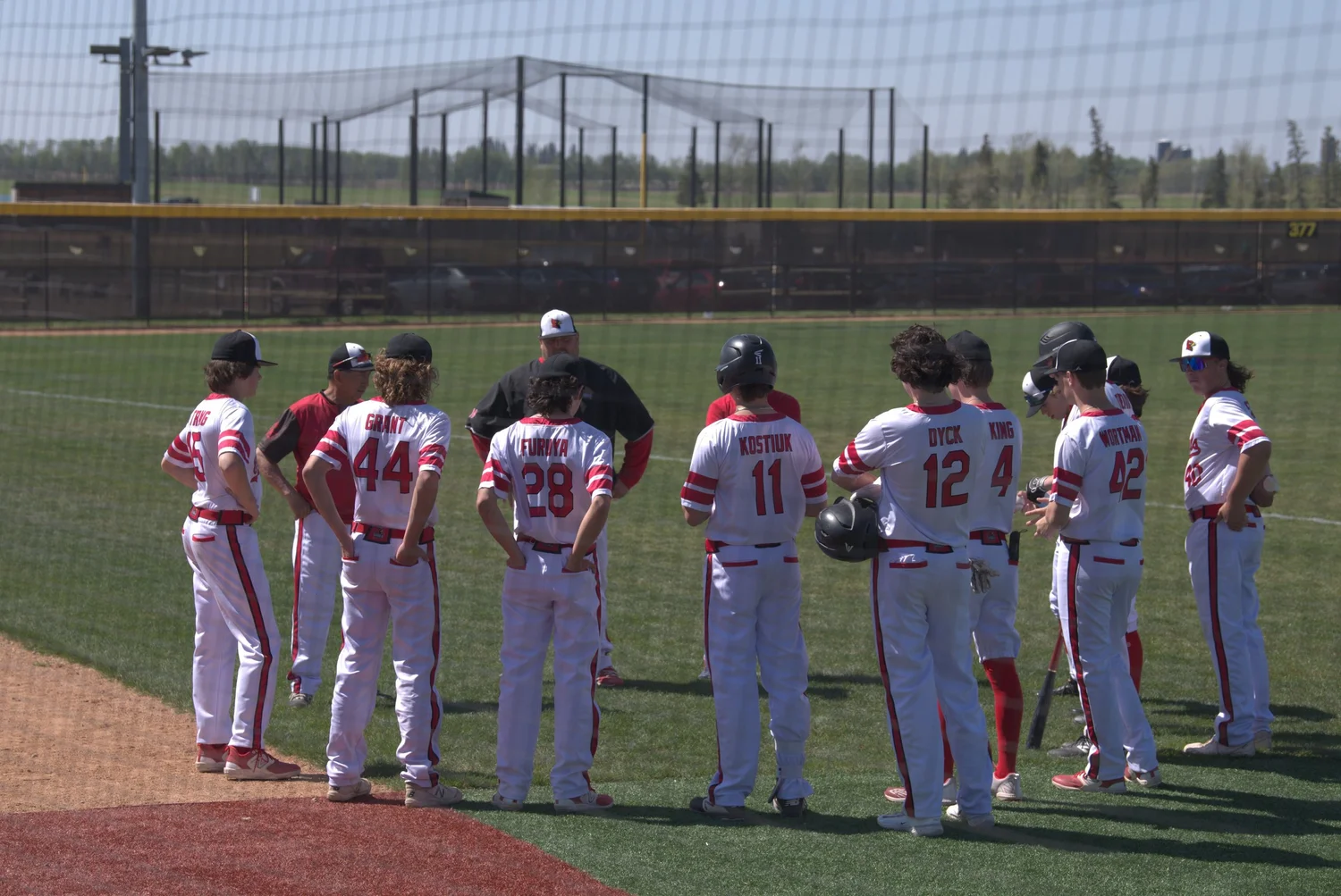 Cardinals Baseball
