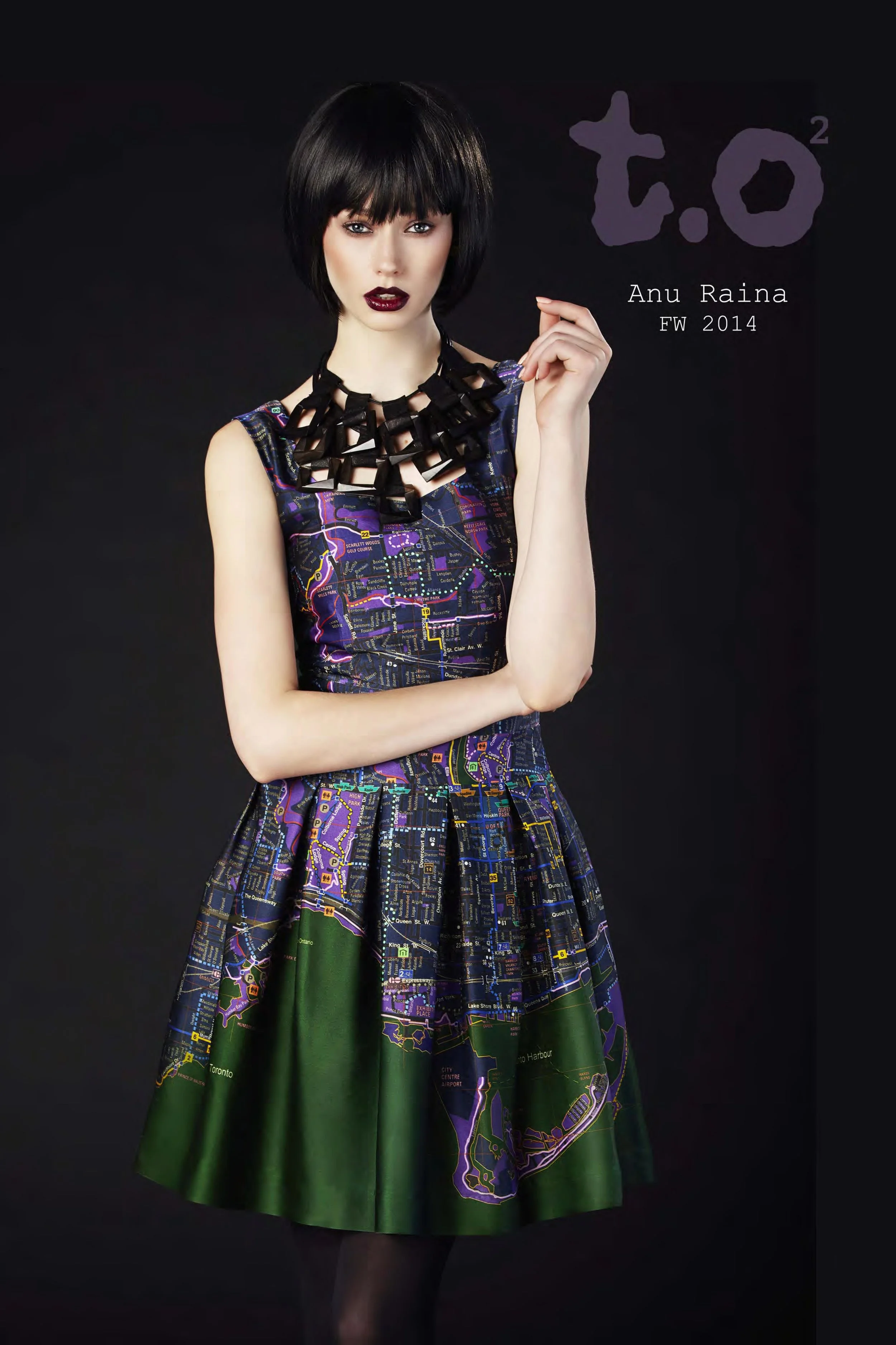 COLLECTIONS — Anu Raina