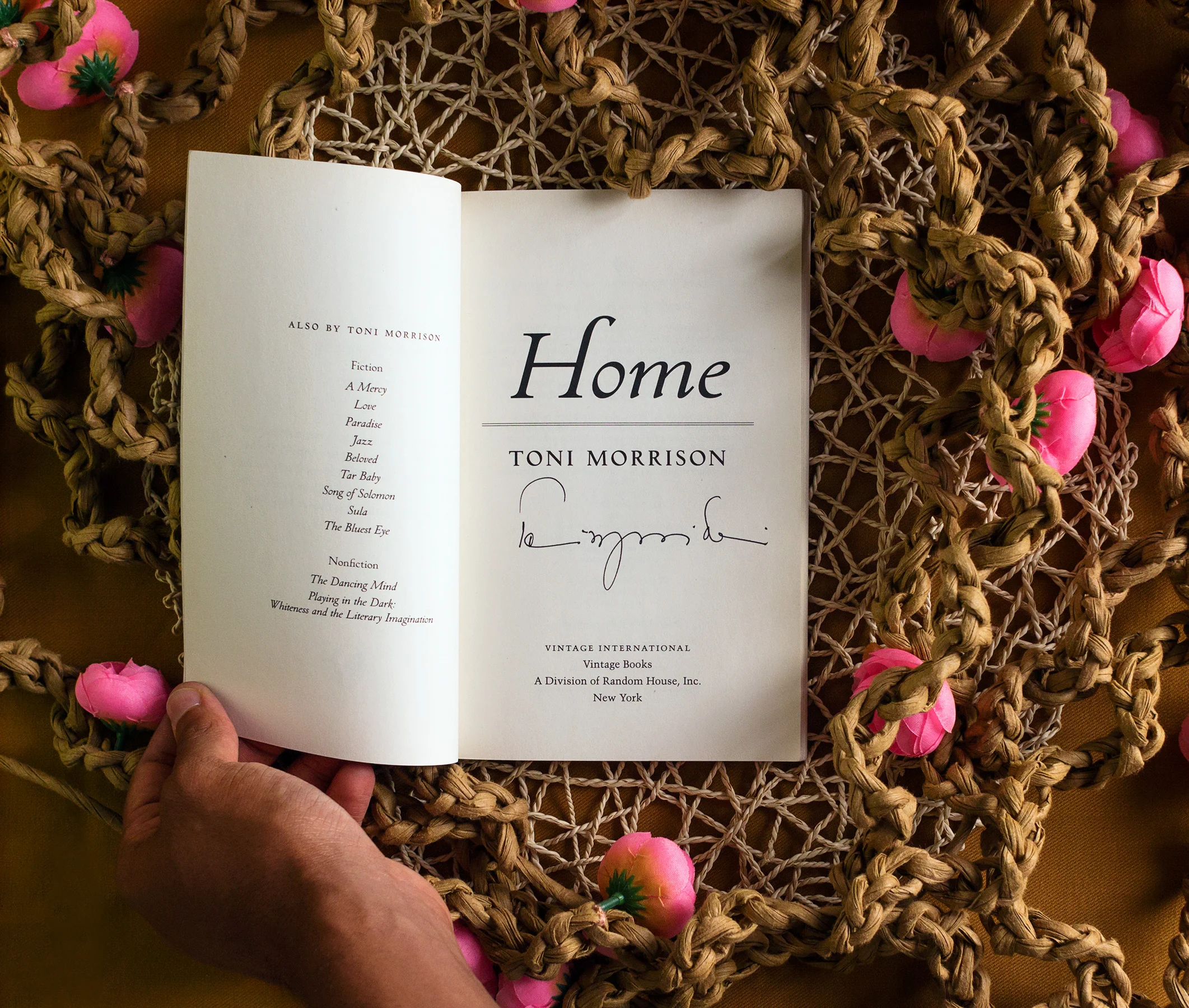 Book Review: Home by Toni Morrison — David Leon Morgan