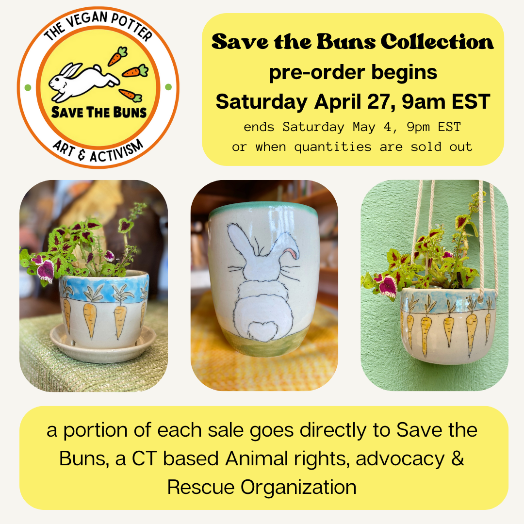 Give a Pot a Forever Home — The Vegan Potter