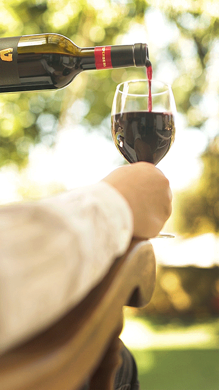 Wine Pour Gif