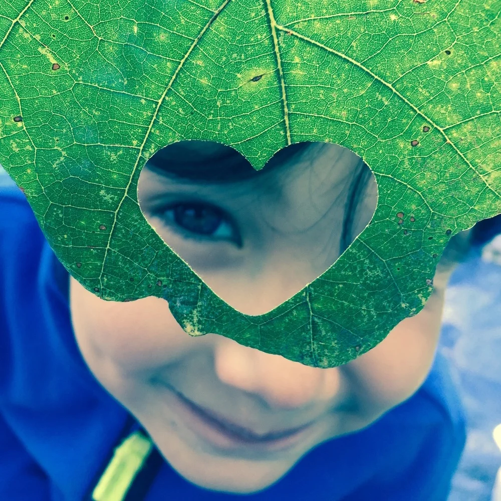 Brooklyn Nature Days