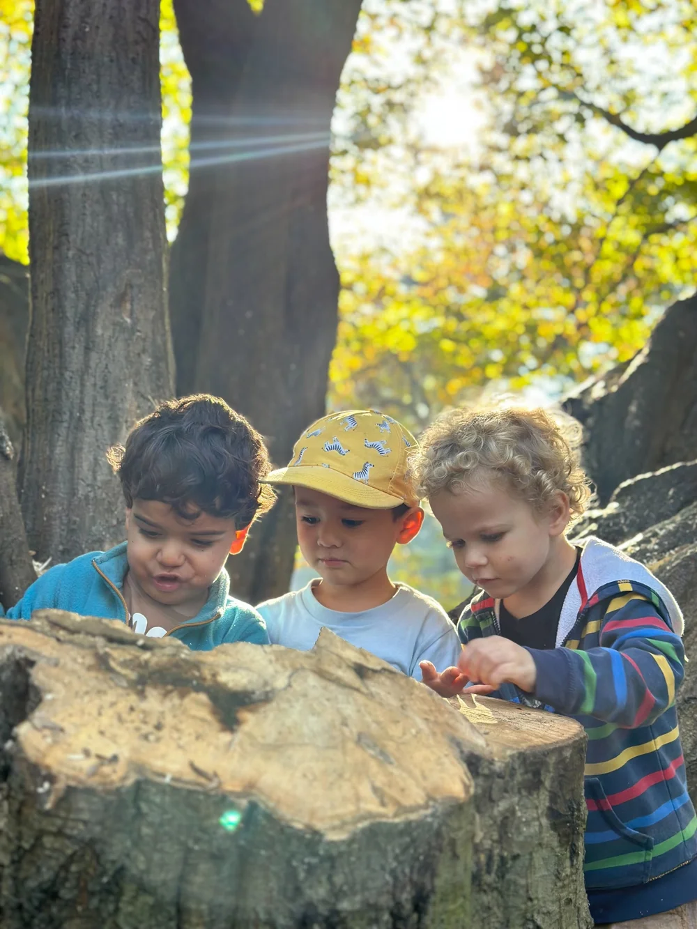Brooklyn Nature Days