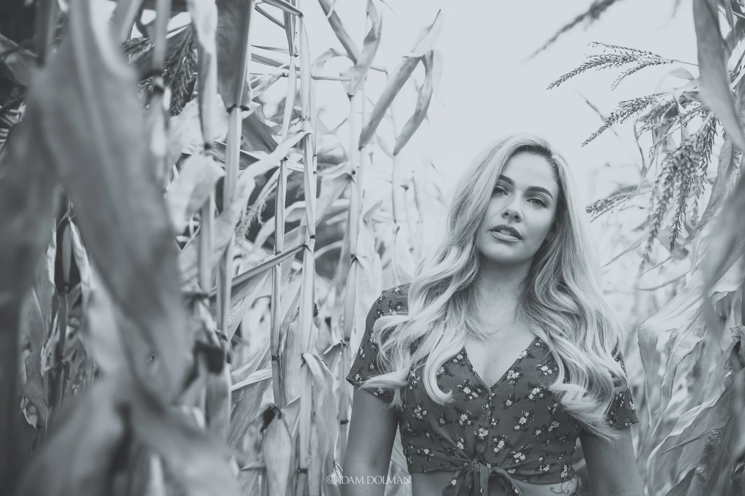 Modelling & Creative — ADAM DOLMAN PHOTOGRAPHY