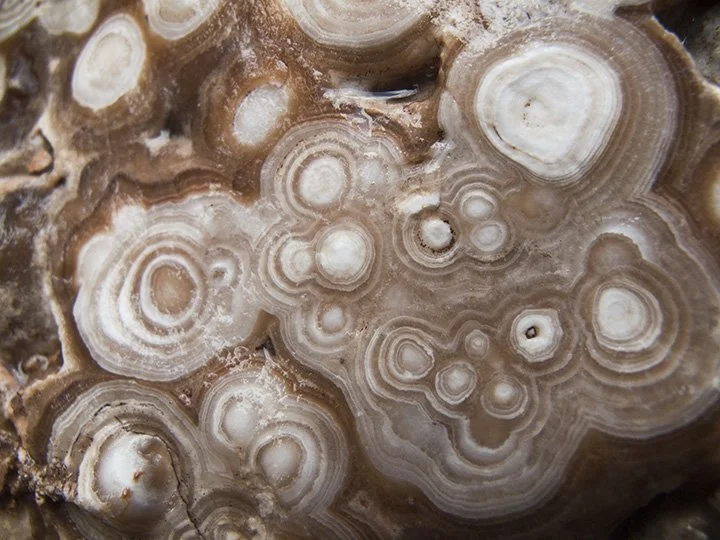 Photography workshops with Bruce Barnbaum & guest instrcutors